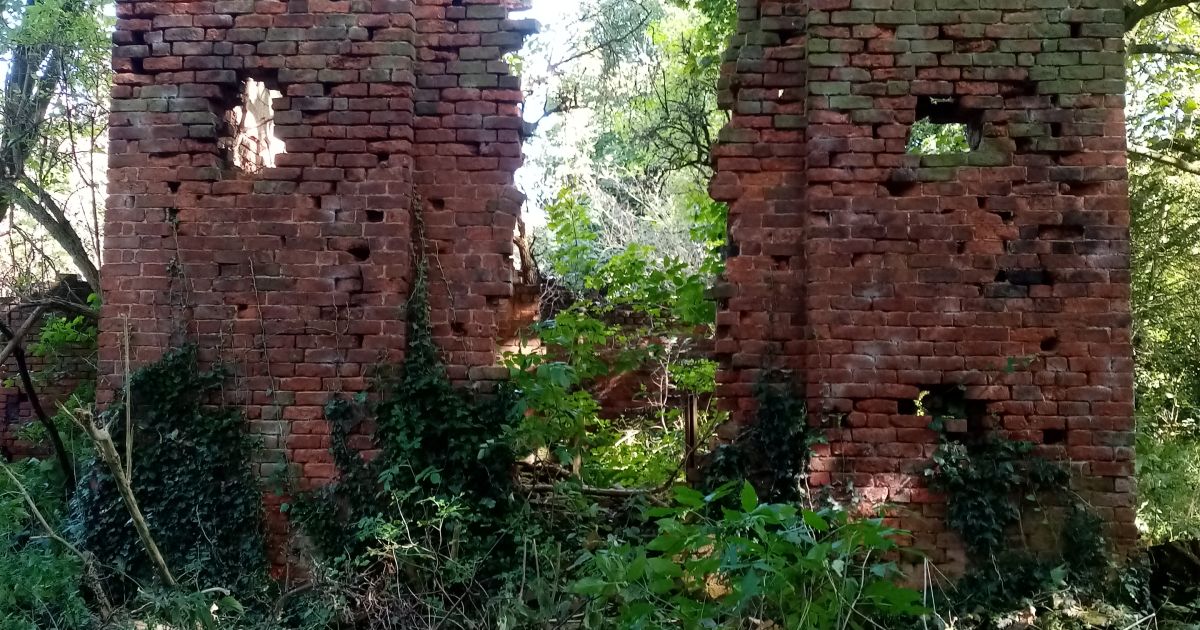 The Reclaimed Walk - Ramblers